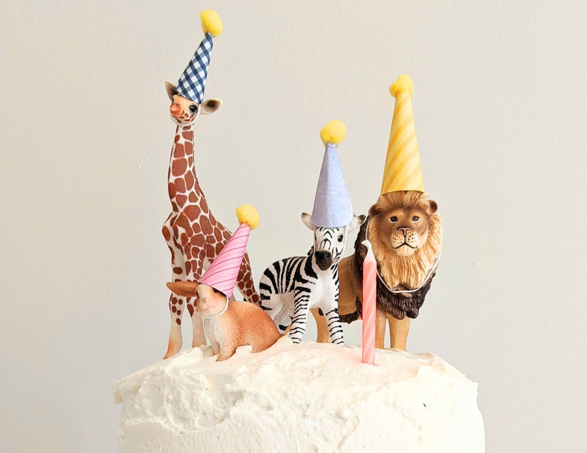 Birthday Party Programs | Turtle Back Zoo
