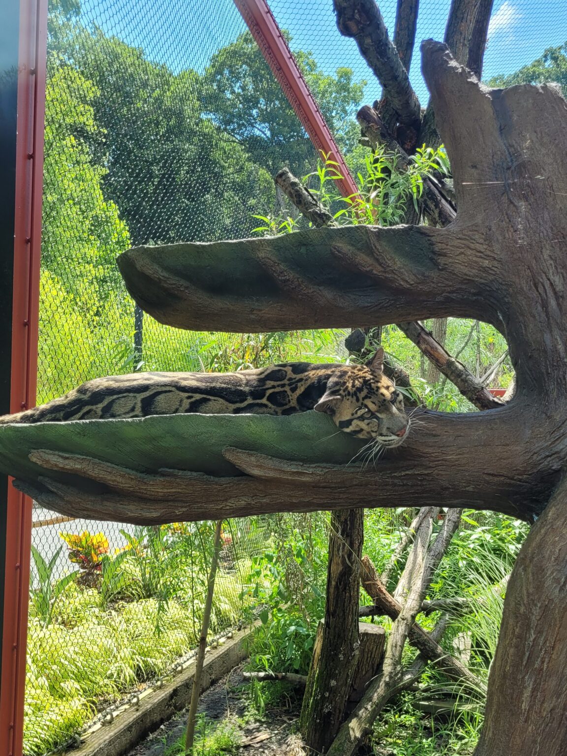 Species 360 | Turtle Back Zoo